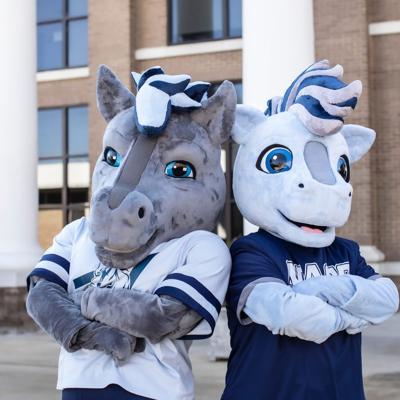 NACC Mustangs season off to a 12-8 start | Sports | times-journal.com