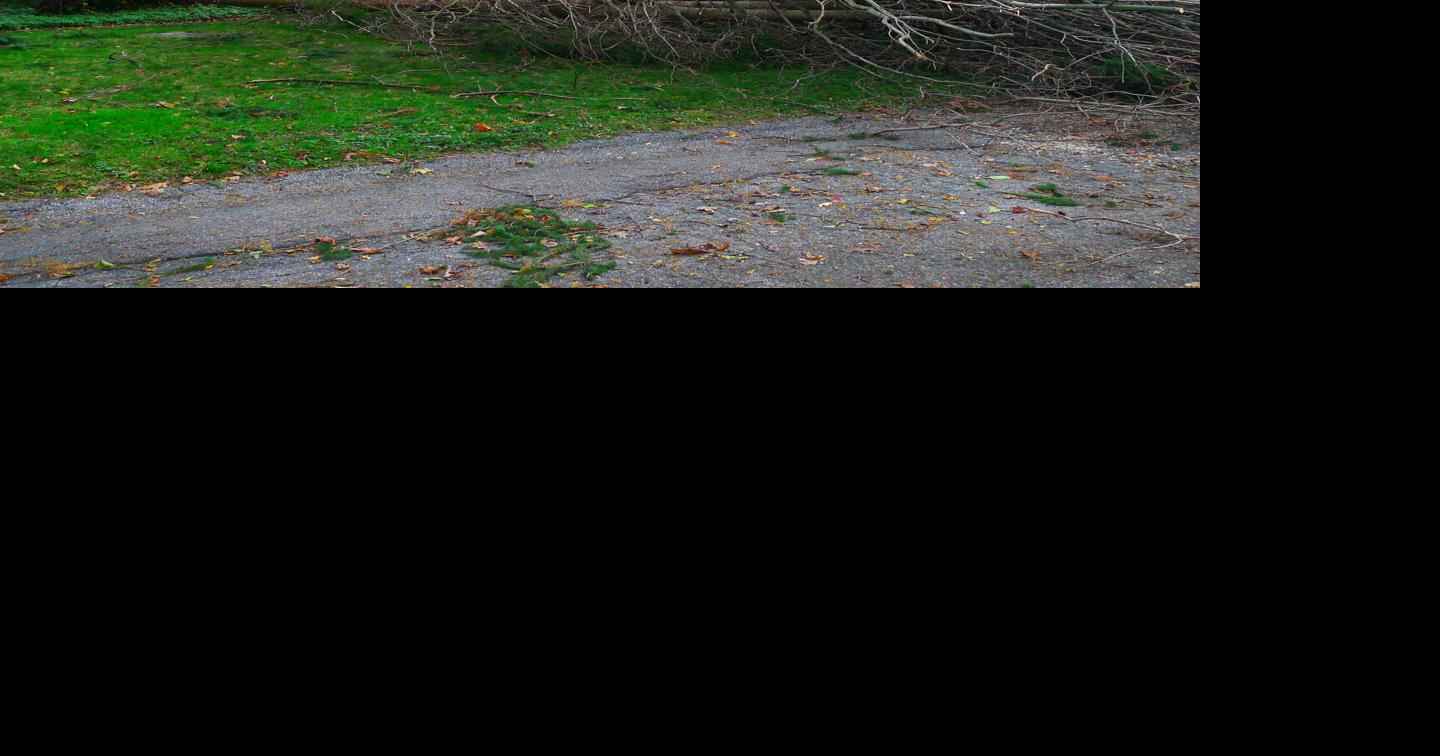 Down trees and power outages | News | times-journal.com