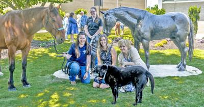 NACC mourns loss of mascot, Trouper the Mustang | Rainsville | times ...
