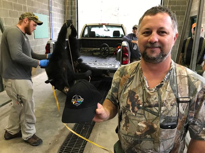 Large bears highlight first day of Maryland hunt | Bear Hunt | times ...
