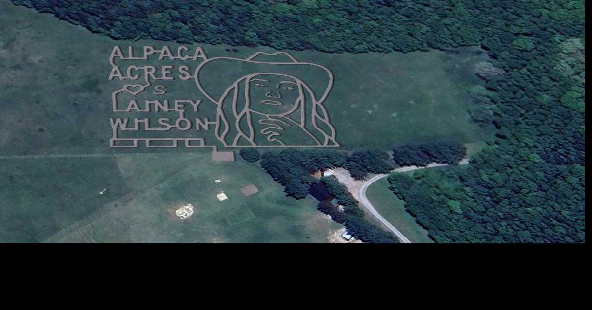 Oakland farm creates Lainey Wilson-inspired corn maze | News | times ...
