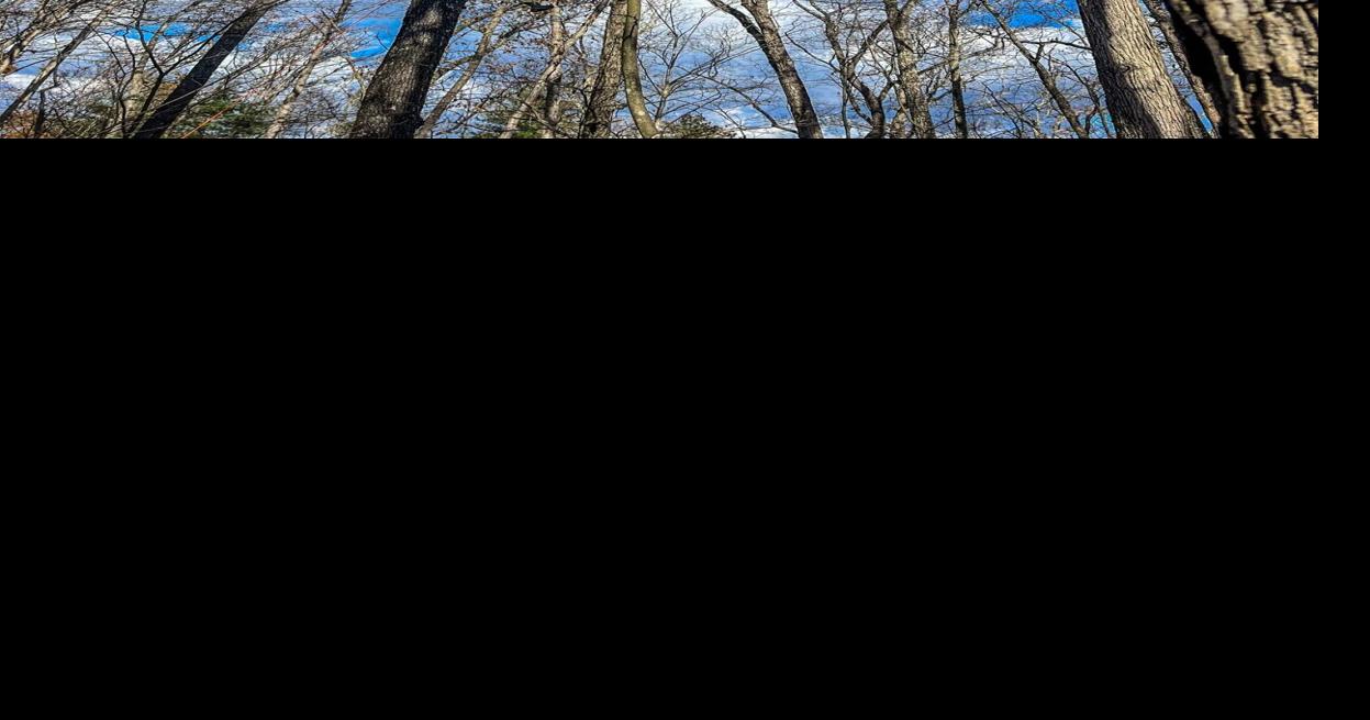 Hunter injured in tree stand fall | Local News | times-news.com