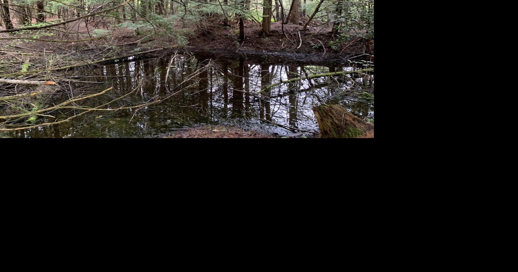 Land behind Crellin Elementary School | | times-news.com