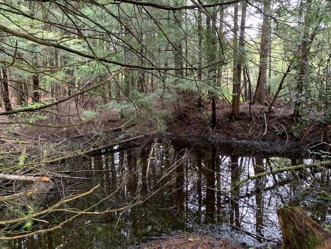 17 years later, multiple generations return to renovate Crellin ...