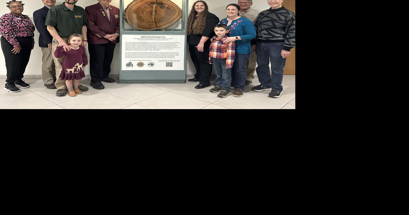 National Road oak tree slice on display at LaVale Library | Community ...