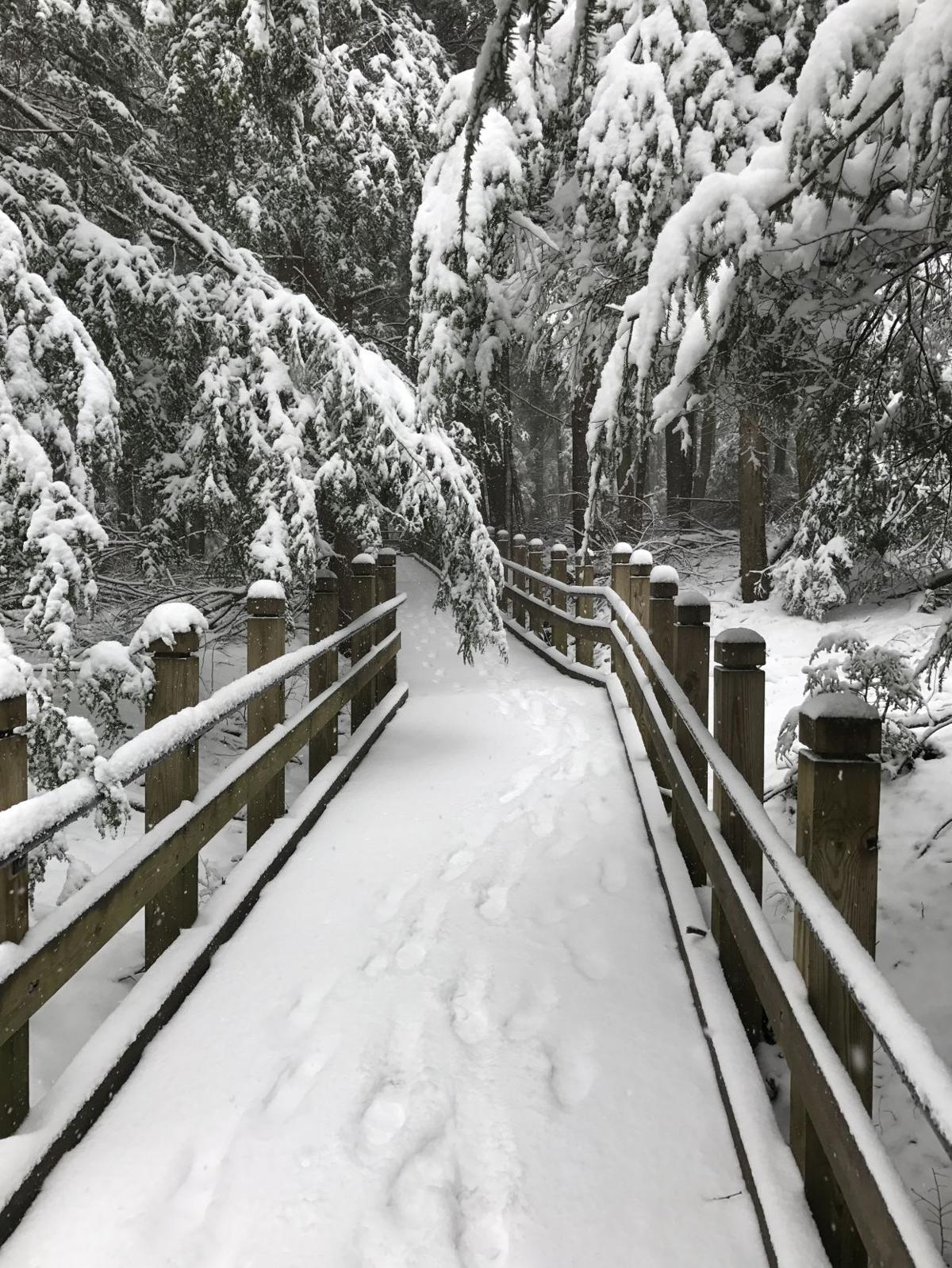 GALLERY: Garrett County snowfall | News | times-news.com