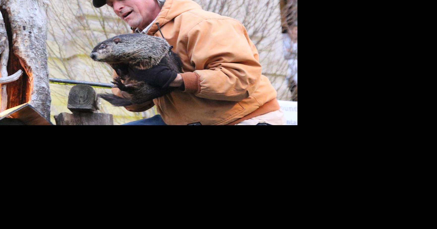 Tri-State zoo loses appeal | Local News | times-news.com