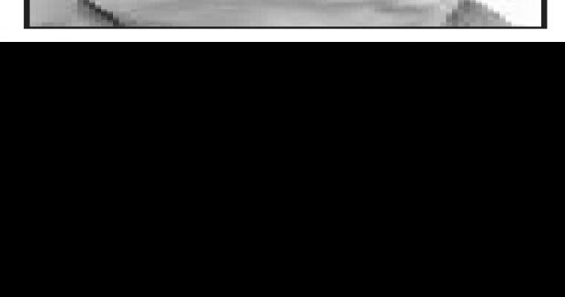 Keyser council member Herman Judy launches mayoral campaign | Local ...