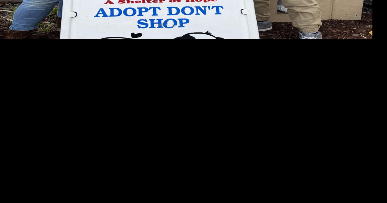 Contest winners donate to animal shelter | News | times-news.com