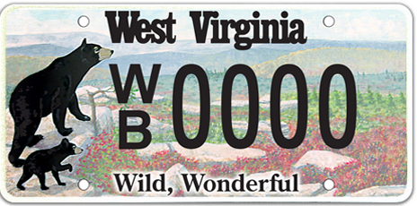 Black bear license plate issued in West Virginia | News | times-news.com
