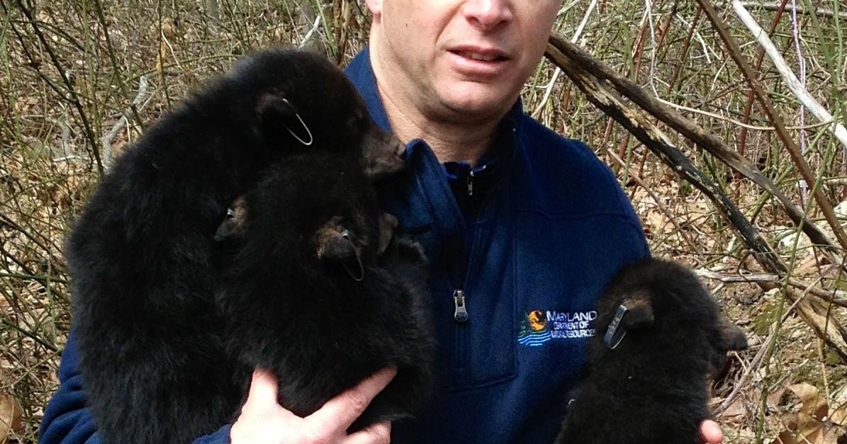 Maryland's Peditto is longest serving wildlife agency director in U.S ...
