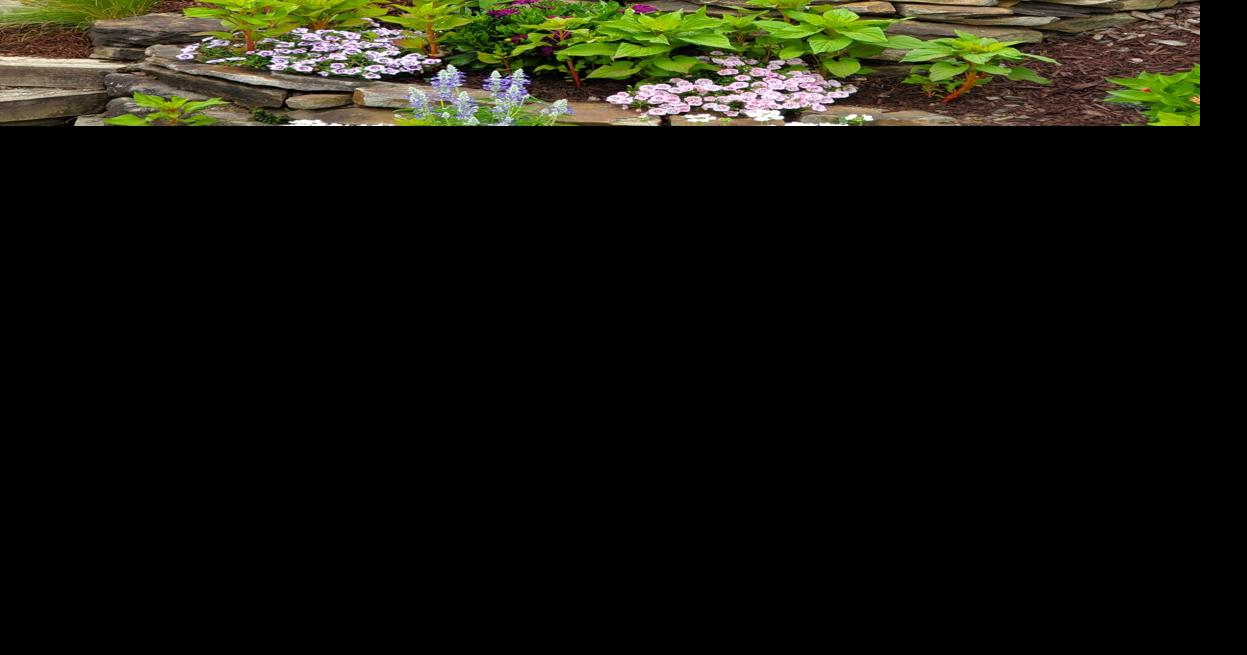 Allegany Magazine September 2022 Beyond The Garden Gate And Among Mimi