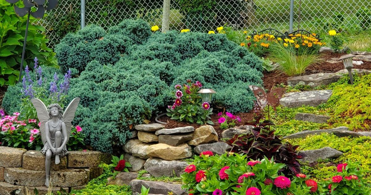 Allegany Magazine September 2022 Beyond The Garden Gate And Among Mimi