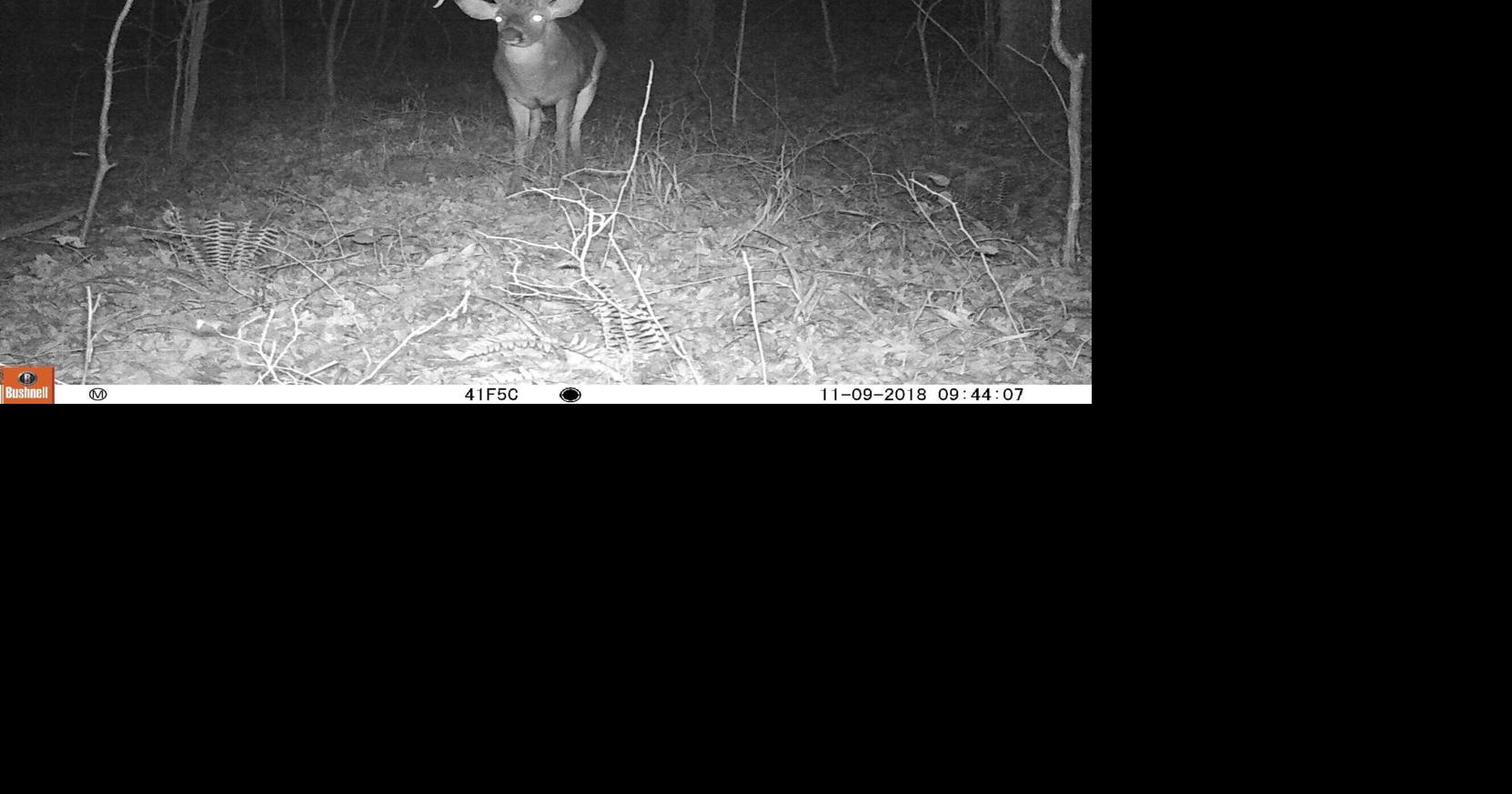 David Shade gets 'dream buck' | Local News | times-news.com