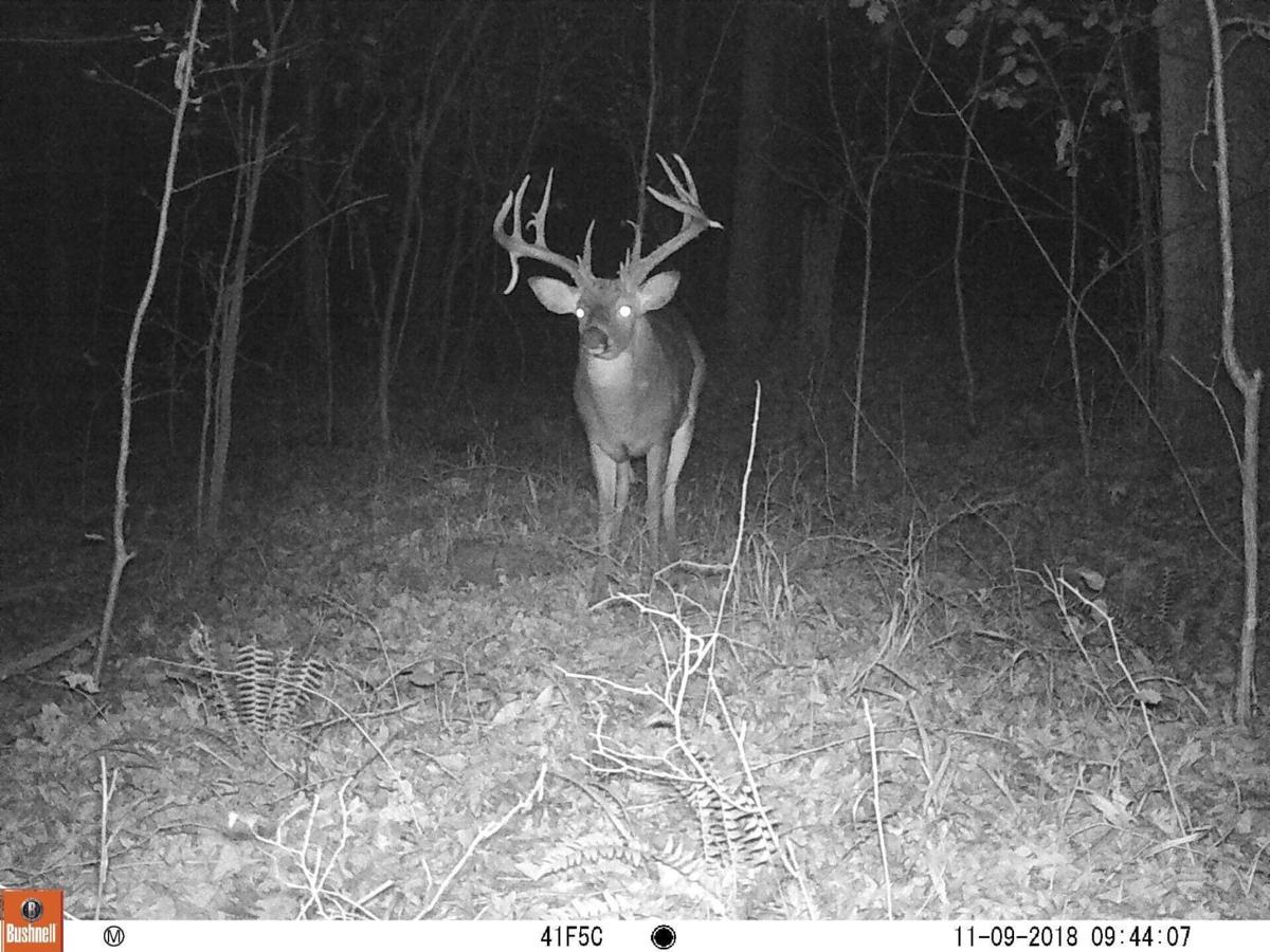 David Shade gets 'dream buck' | Local News | times-news.com