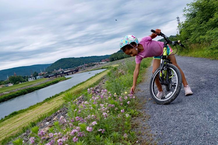 ALLEGANY MAGAZINE APRIL 2023: The Celebration and the Gamble of Spring ...