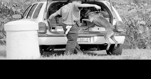 Sniff test | Local News | times-news.com