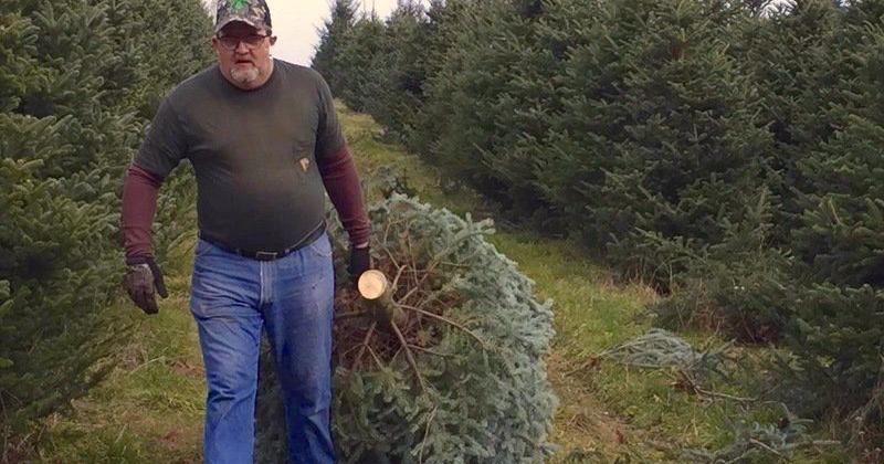 Mt. Top Tree Farm warms up to Christmas business | Local News | times ...