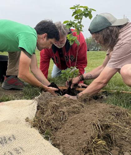 Putting down roots | | times-news.com