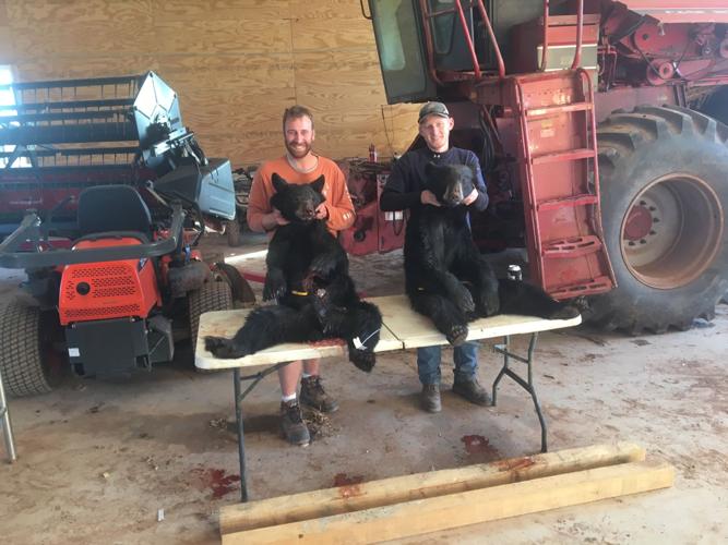 UPDATED: Photos from the 2018 Maryland Bear Hunt | Outdoors | times ...