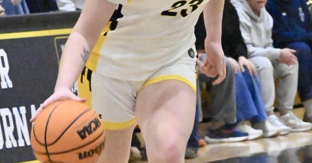 Felton PVC Player of the Year; All-PVC girls squads announced | Local ...