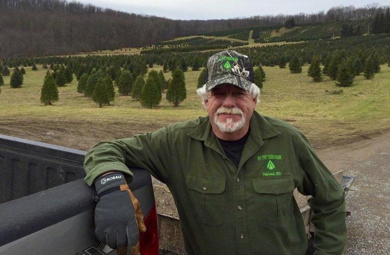 Mt. Top Tree Farm warms up to Christmas business | Local News | times ...