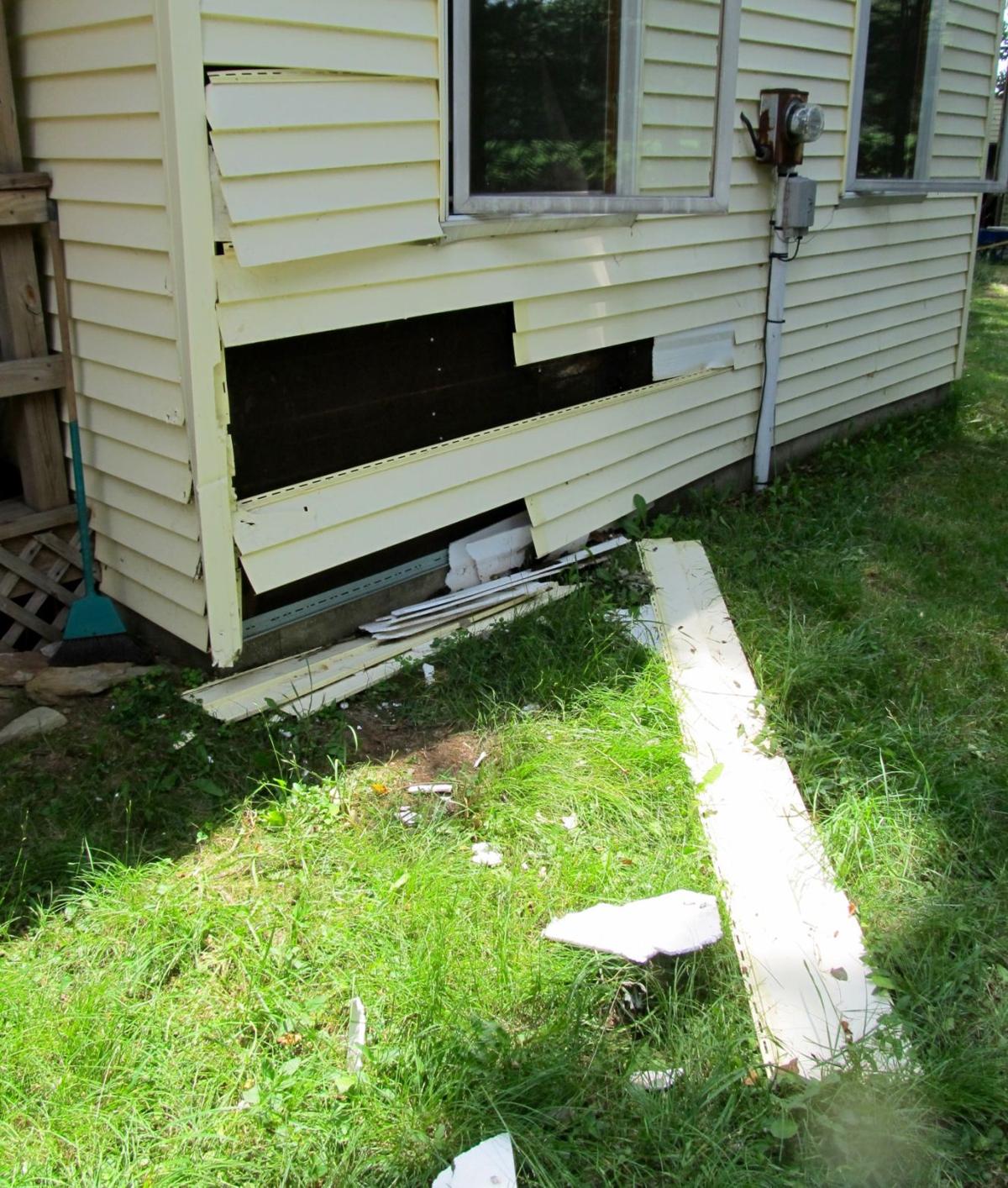 Like a bad neighbor, bears will be here. Insured for that? | News ...