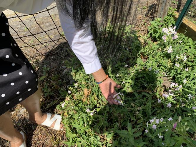 Jane Gates Day celebrated | Local News | times-news.com