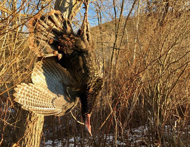 Mike Sawyers on gobbler getting: 'Maybe I better take one more peek ...
