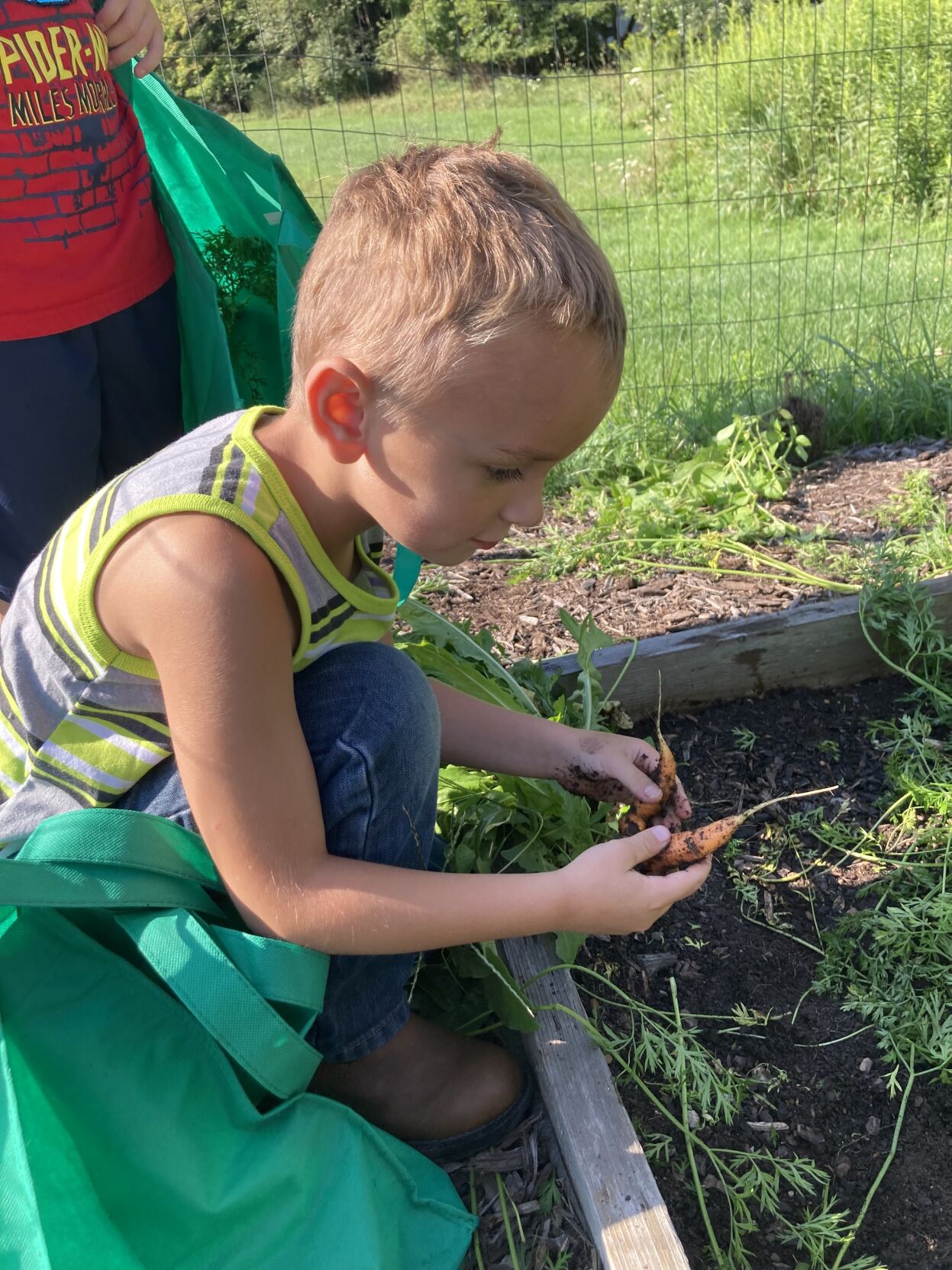 Students 'come alive' at Crellin Elementary's Sunshine Farm | Local ...