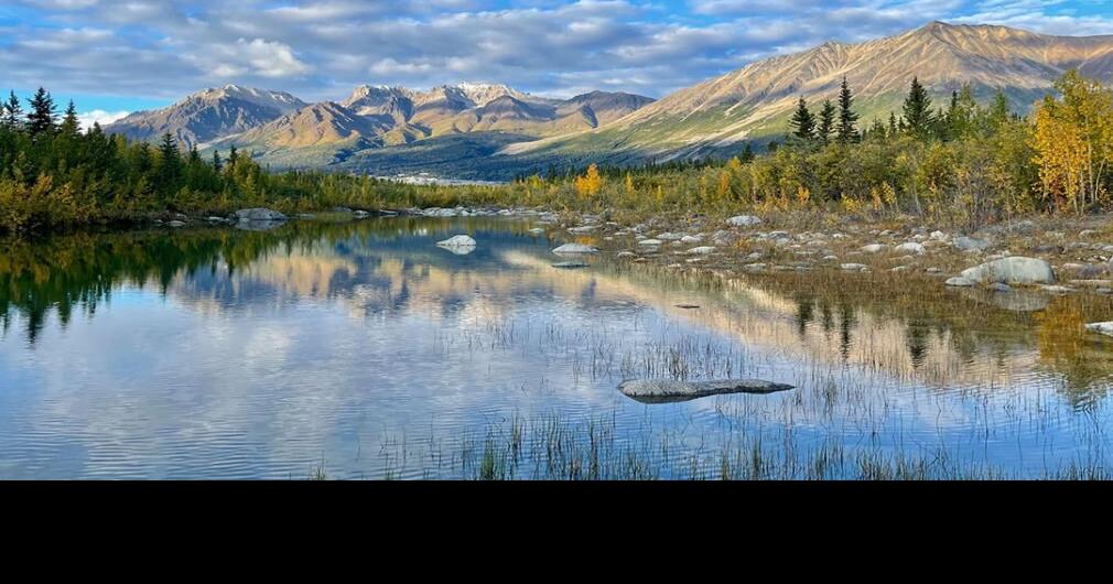 These 22 conservation-minded presidents preserved the most national ...