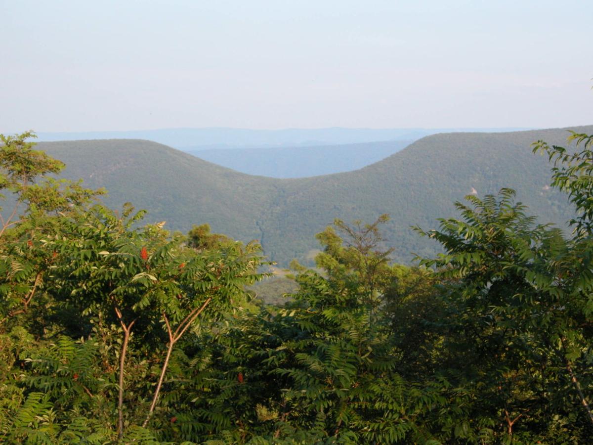 Future of Nancy Hanks' cabin is uncertain | News | times-news.com