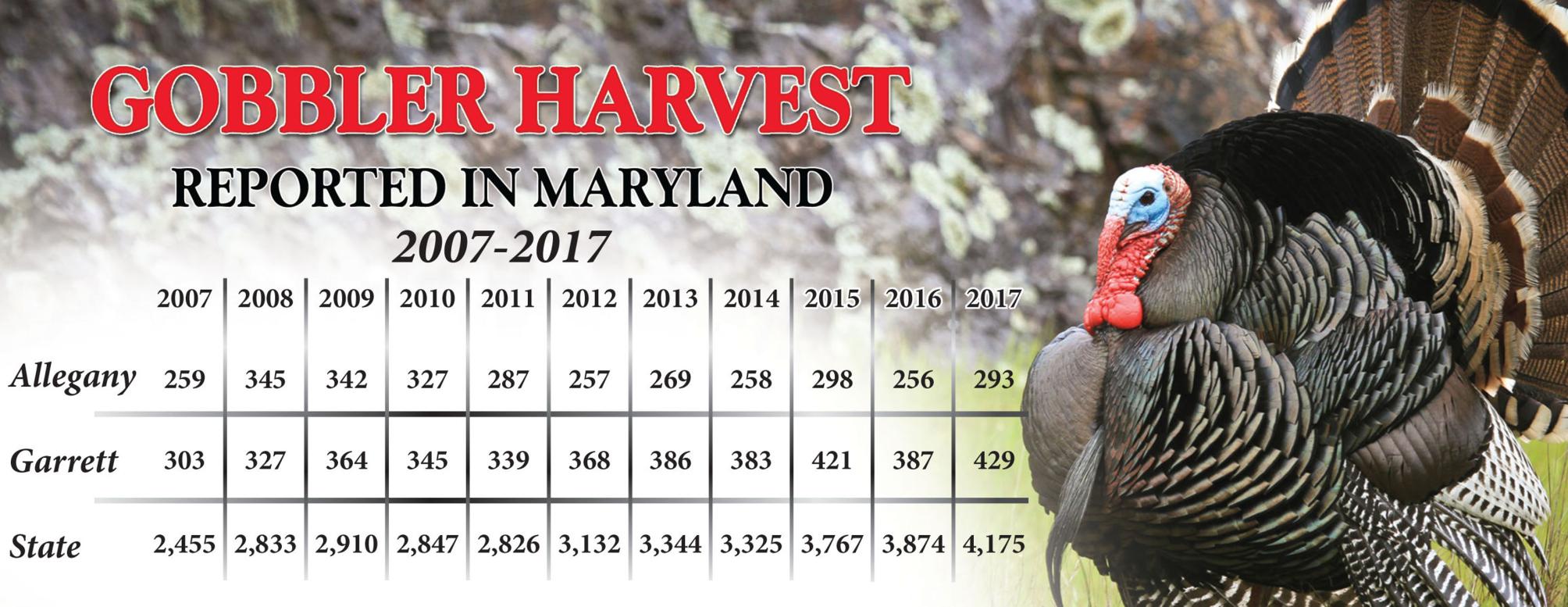 UPDATED: Md. spring gobbler harvest is yet another record | Outdoors ...