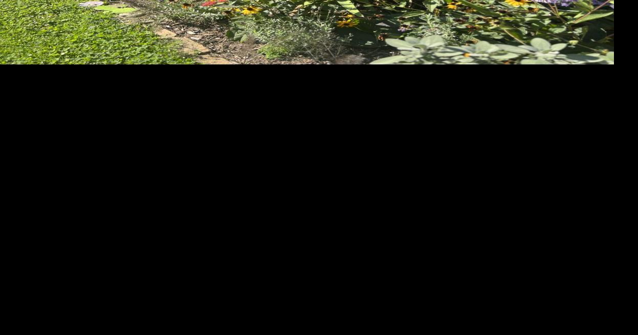 Maryland Lynching Memorial Project forum set for Saturday, new museum ...