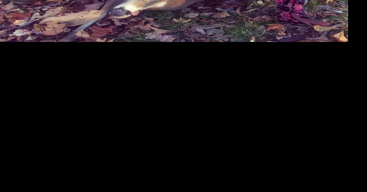 7-point buck | Local News | times-news.com