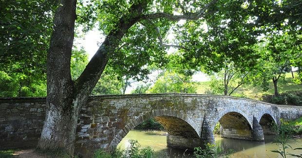 150 years after Antietam, tree survives | Local News | times-news.com