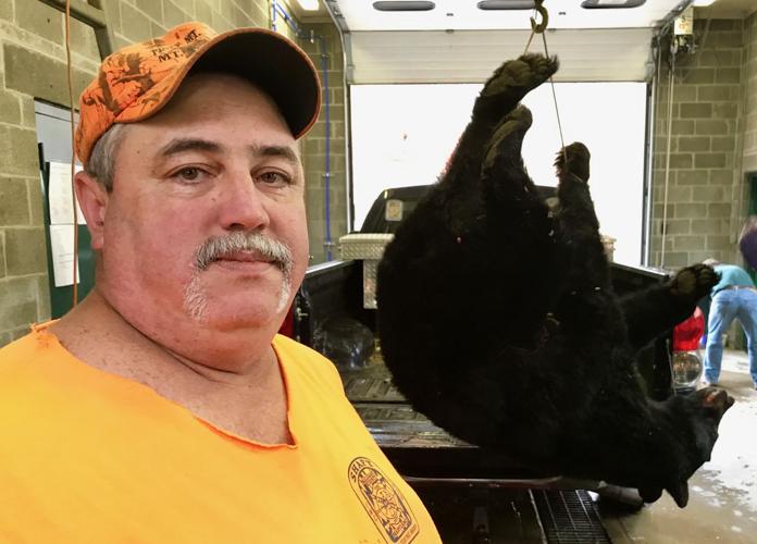 PHOTOS of the 2017 Maryland Bear Hunt | Bear Hunt | times-news.com
