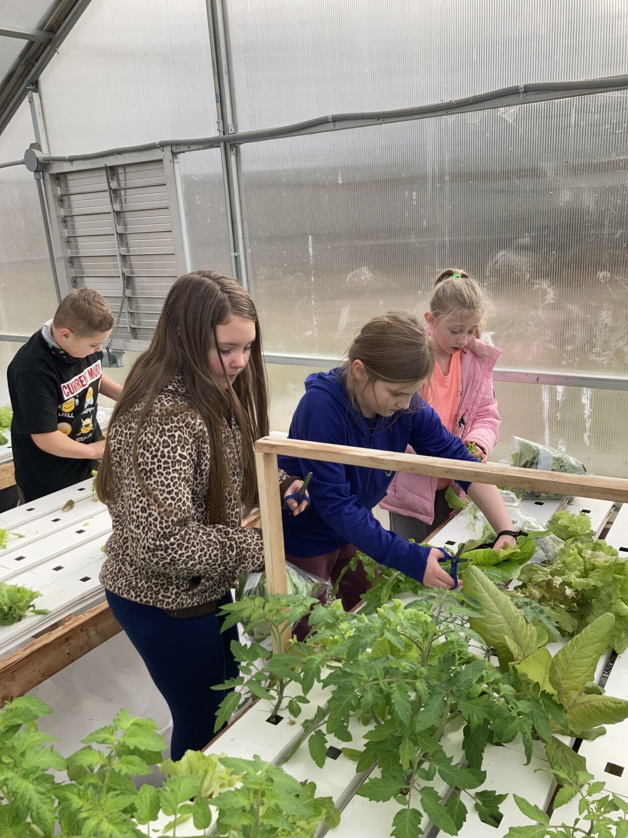 Students 'come alive' at Crellin Elementary's Sunshine Farm | Local ...