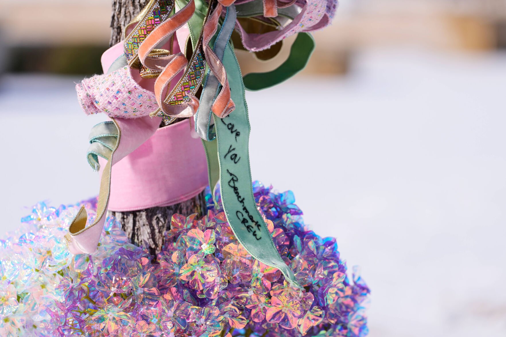 Winter Weather | National | timesargus.com