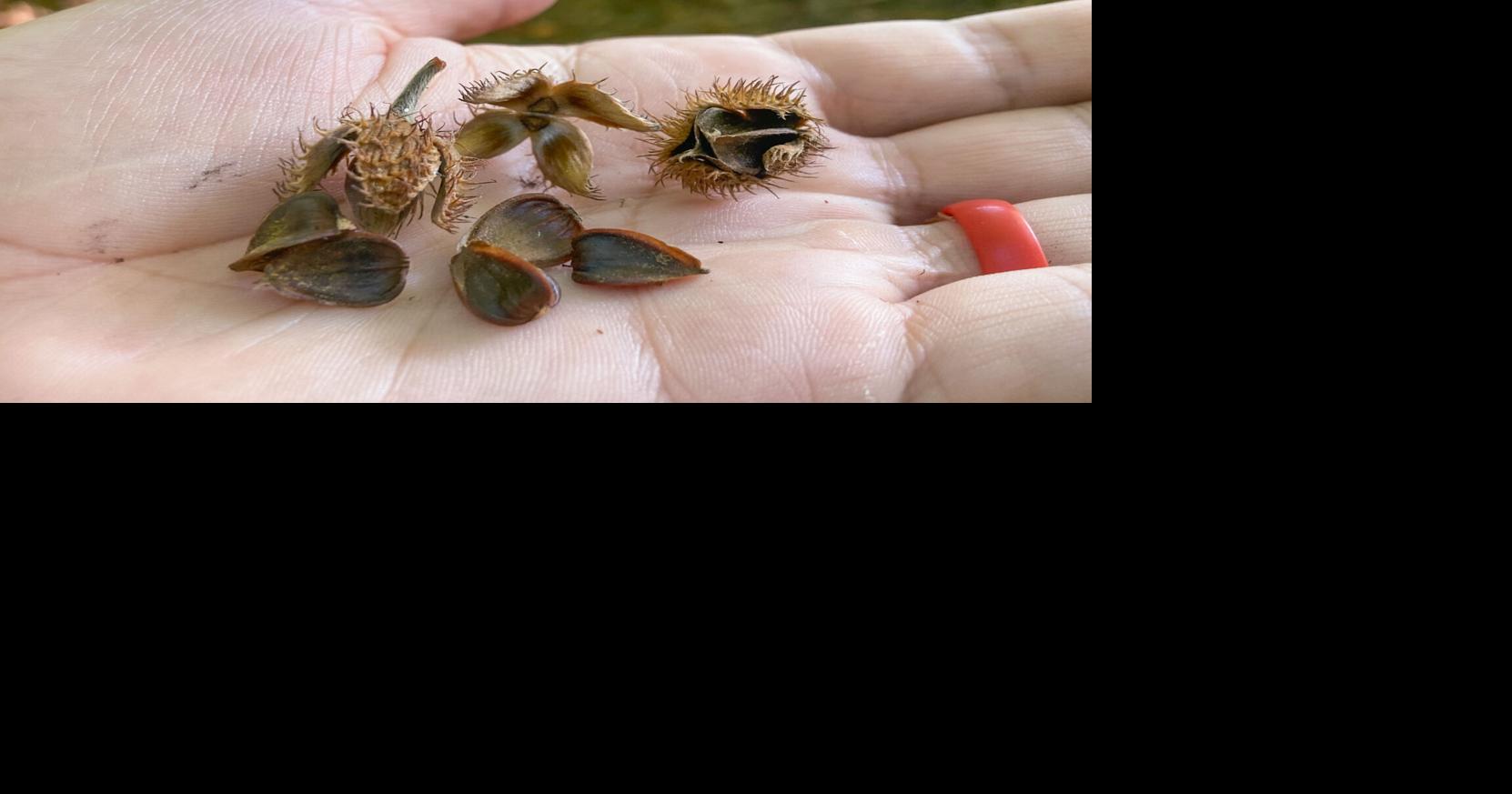 Times Argus Community News for Nov. 6, 2025 | Community | timesargus.com