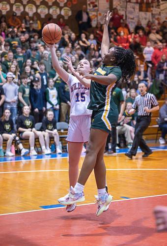 Girls hoop standouts set gold standard | Slider | timesargus.com