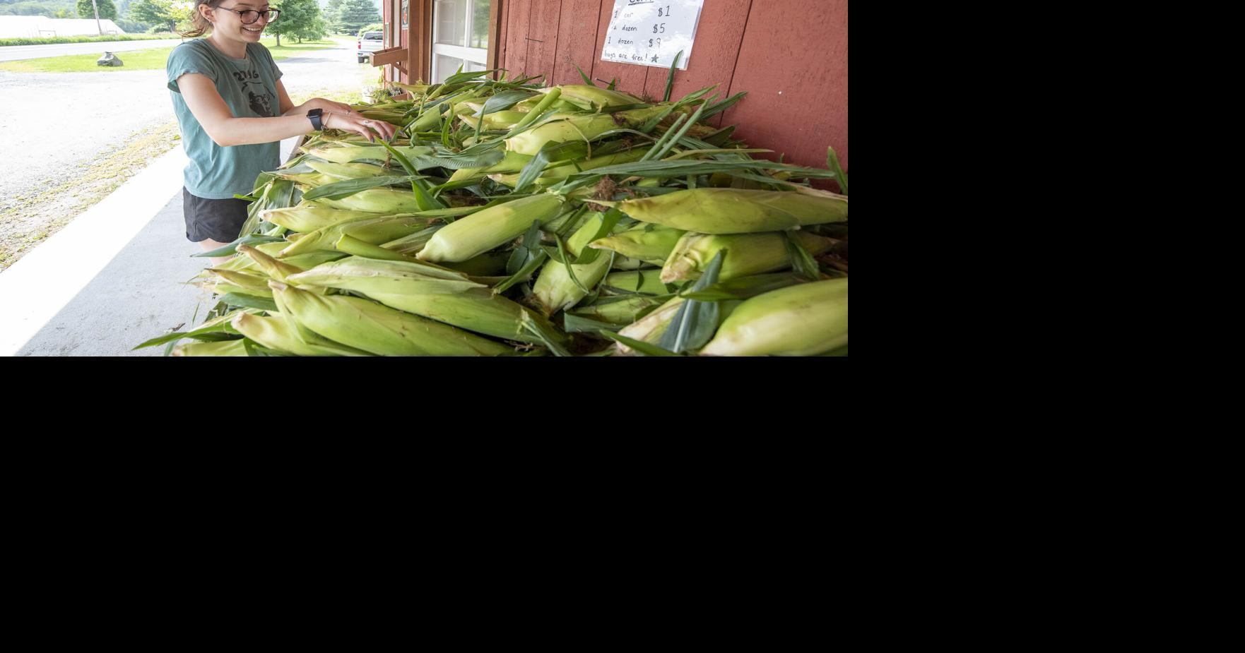 Kernel of Hope | Slider | timesargus.com