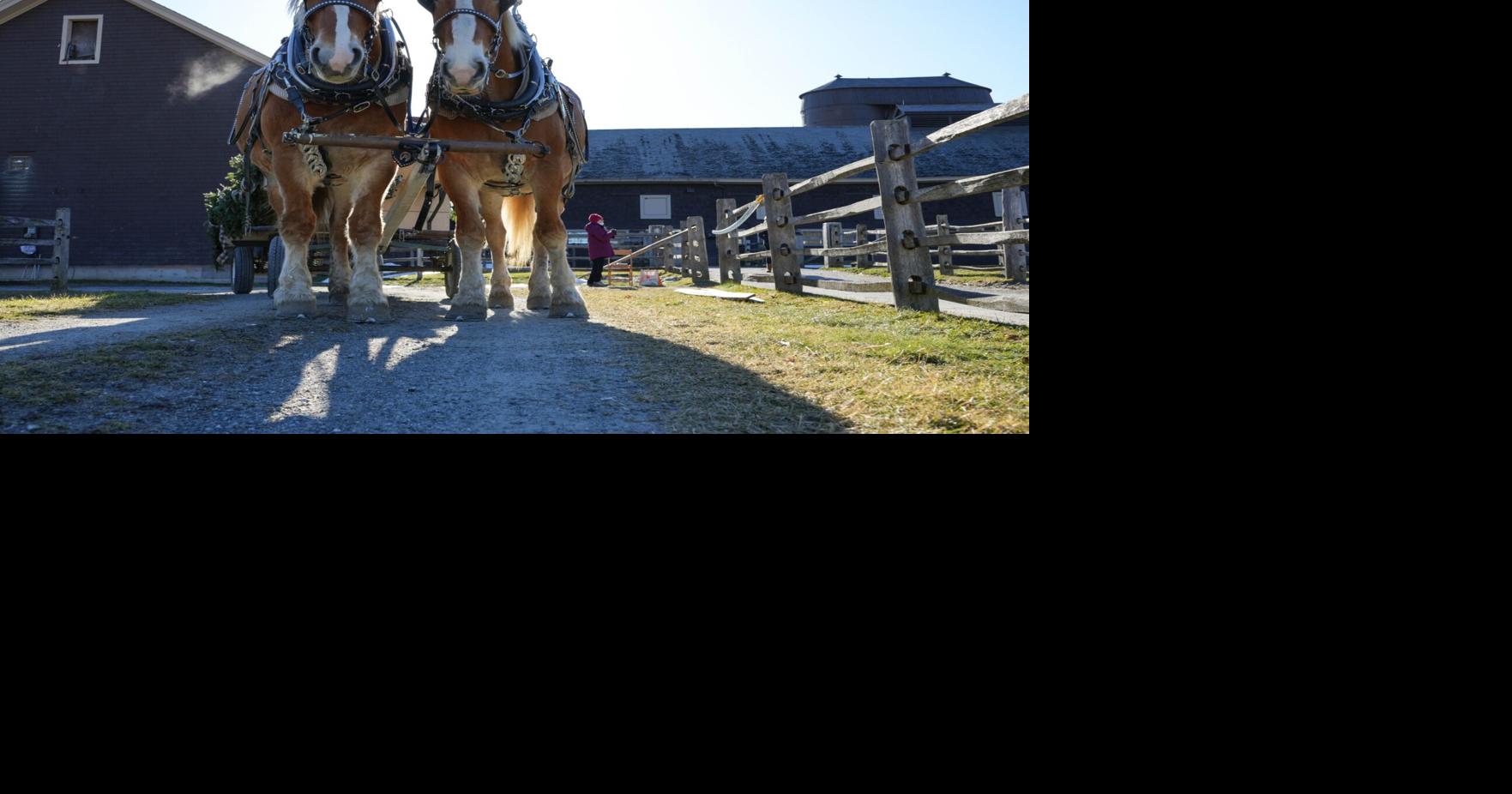 Times Argus Community News for Dec. 10, 2024 | Community | timesargus.com