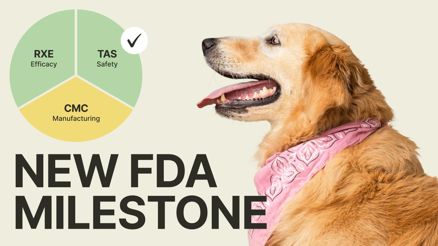 Loyal Receives FDA Acceptance of Safety Package for Senior Dog Lifespan ...