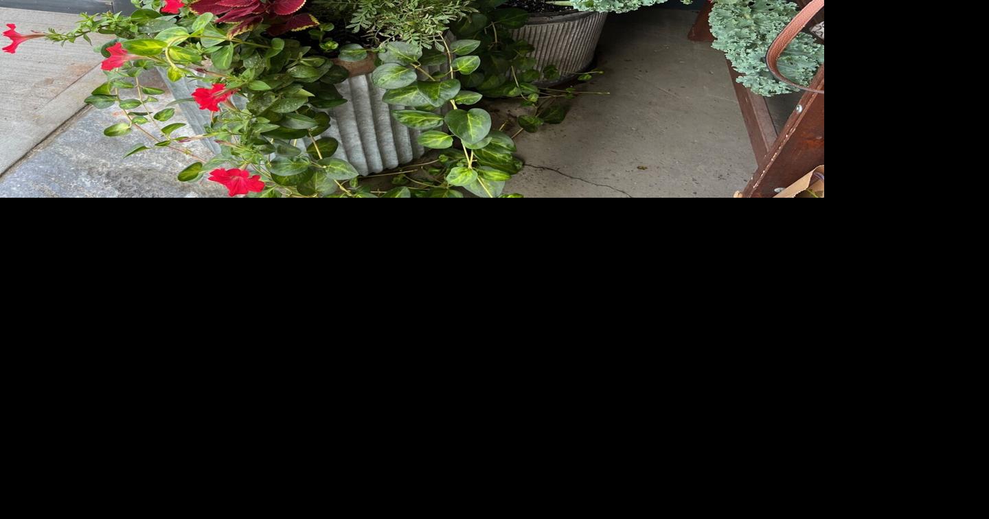 UVM Extension: Make outdoor spaces work for you | Weekend Magazine ...