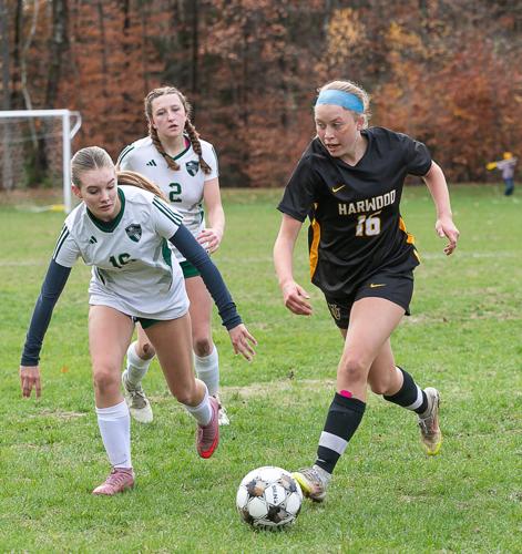 Weekend Roundup: Harwood soars past Montpelier, 4-1 | Slider ...