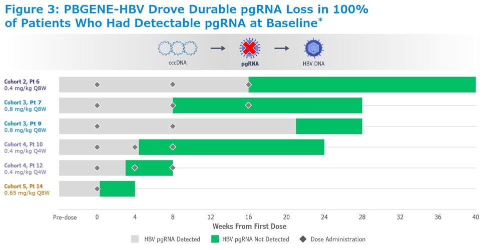 Precision BioSciences Announces New and Late-Breaking PBGENE-HBV ...