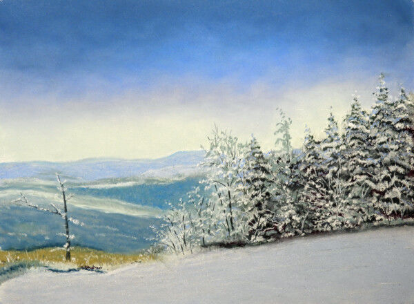 ‘The Brilliance of Pastels’: Central Vermont artists find expression of ...