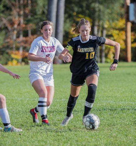 Soccer coaches announce All-State teams | Slider | timesargus.com