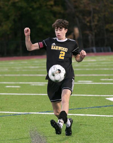 Unbeaten Harwood captures D-II crown | Slider | timesargus.com